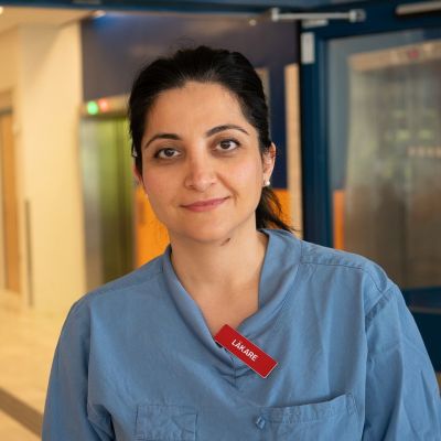 The Beijer Laboratory Researchers - Beijerstiftelsen